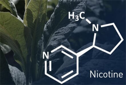 Vape ingredient analysis: the main ingredients and selection of vape ...